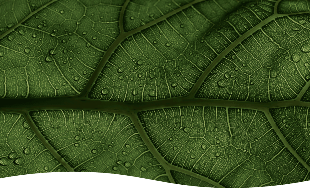 Skin Synthesis - Microinfusion